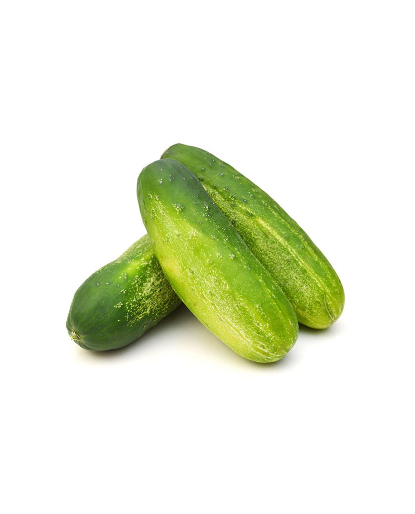 Small Cucumber – Golden Farm Siam